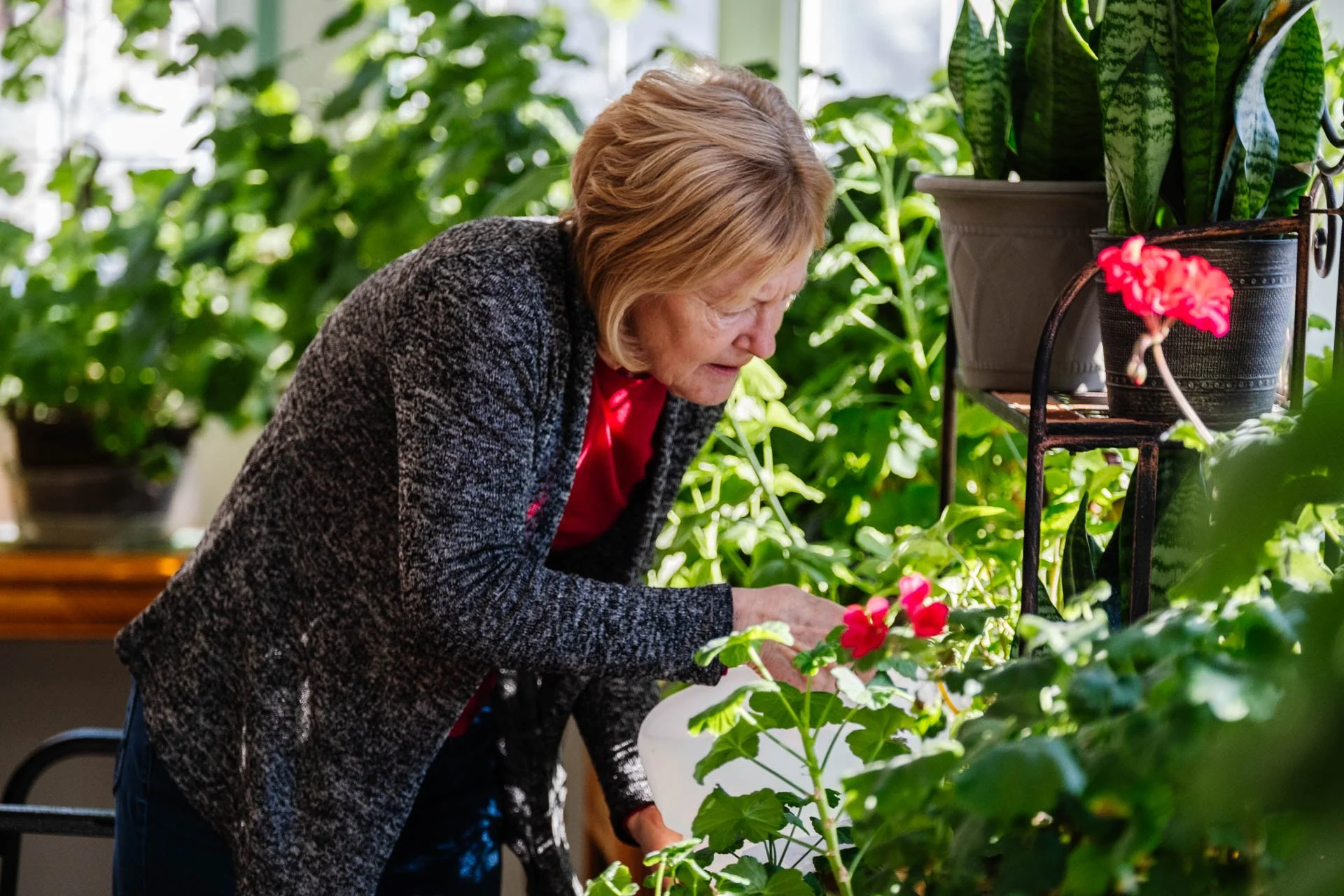 Services — Mutchmor Lodge