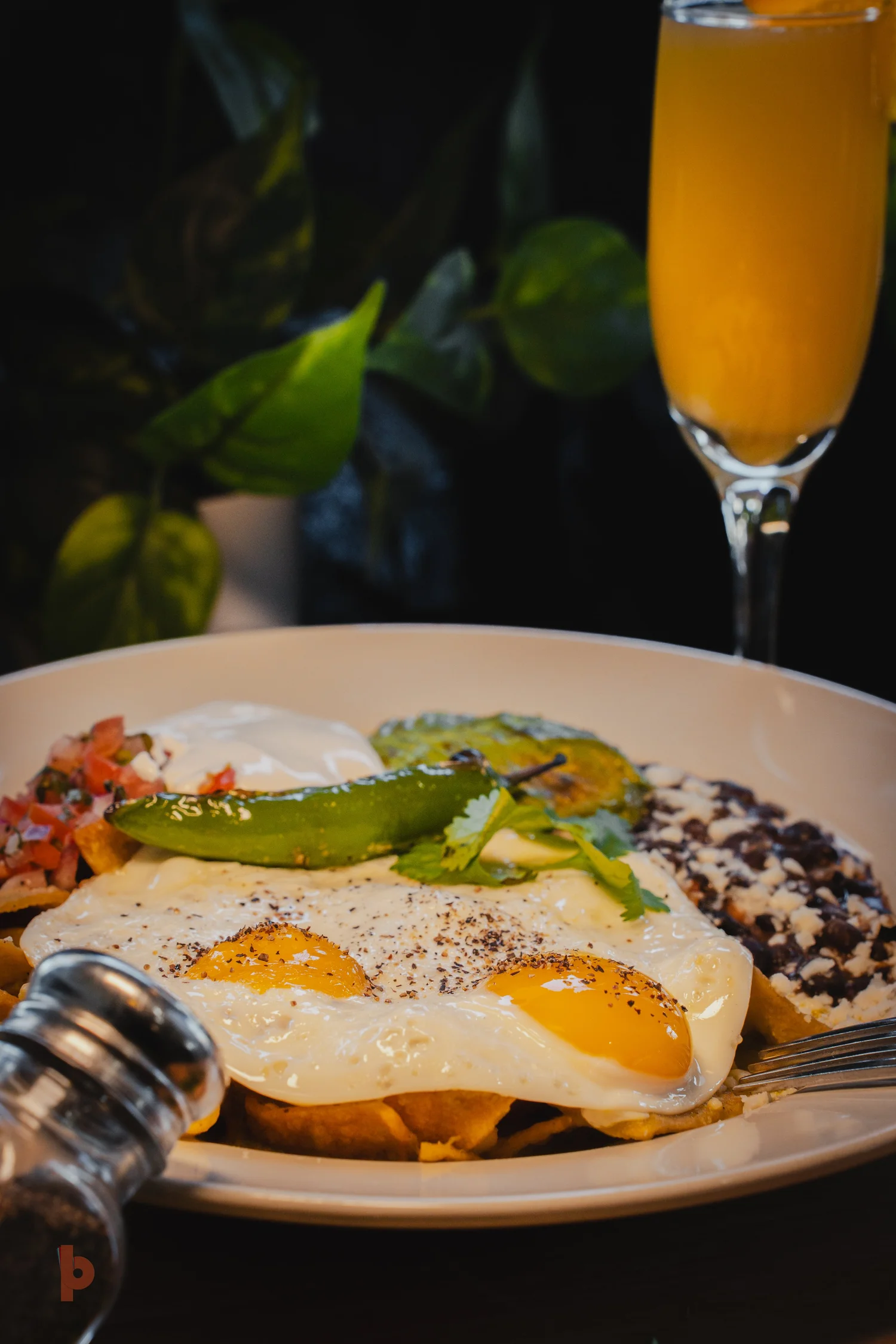 Menu — Zaina's Bellini Cafe