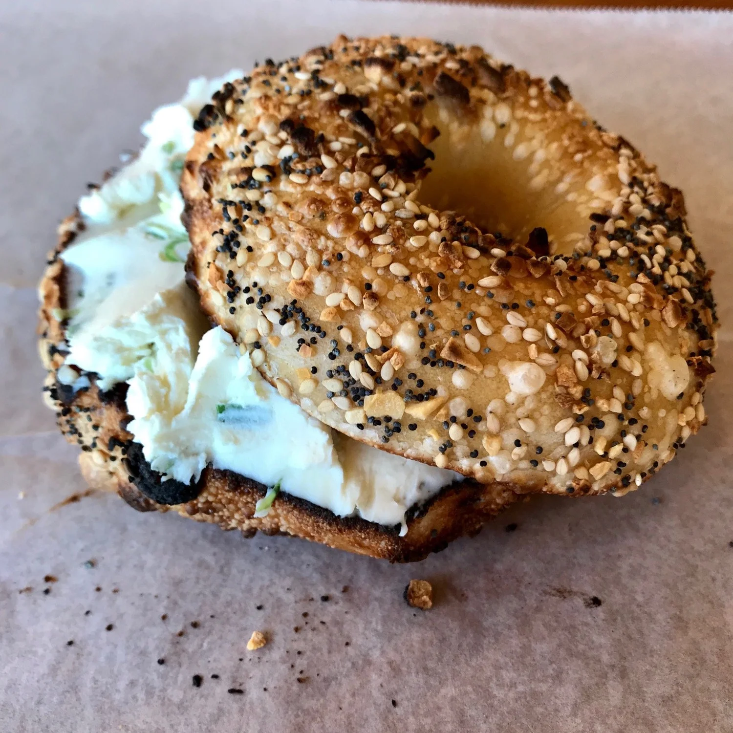 Hole in the Wall Bagels — Good Tern Co-op
