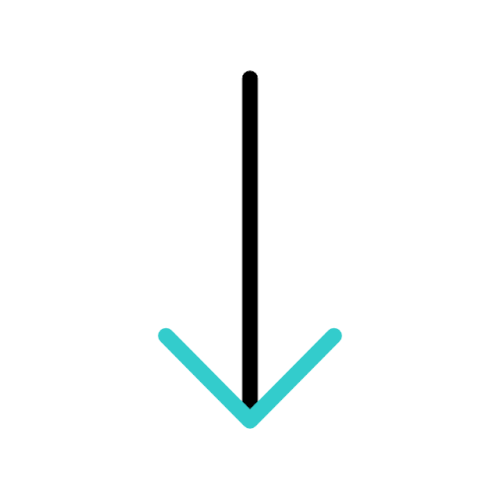 Start Multiplying Disciples • DisciplesMade