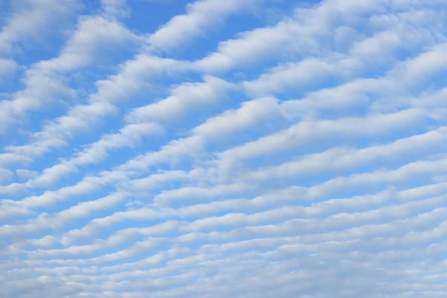 Clouds in Water Zen Center