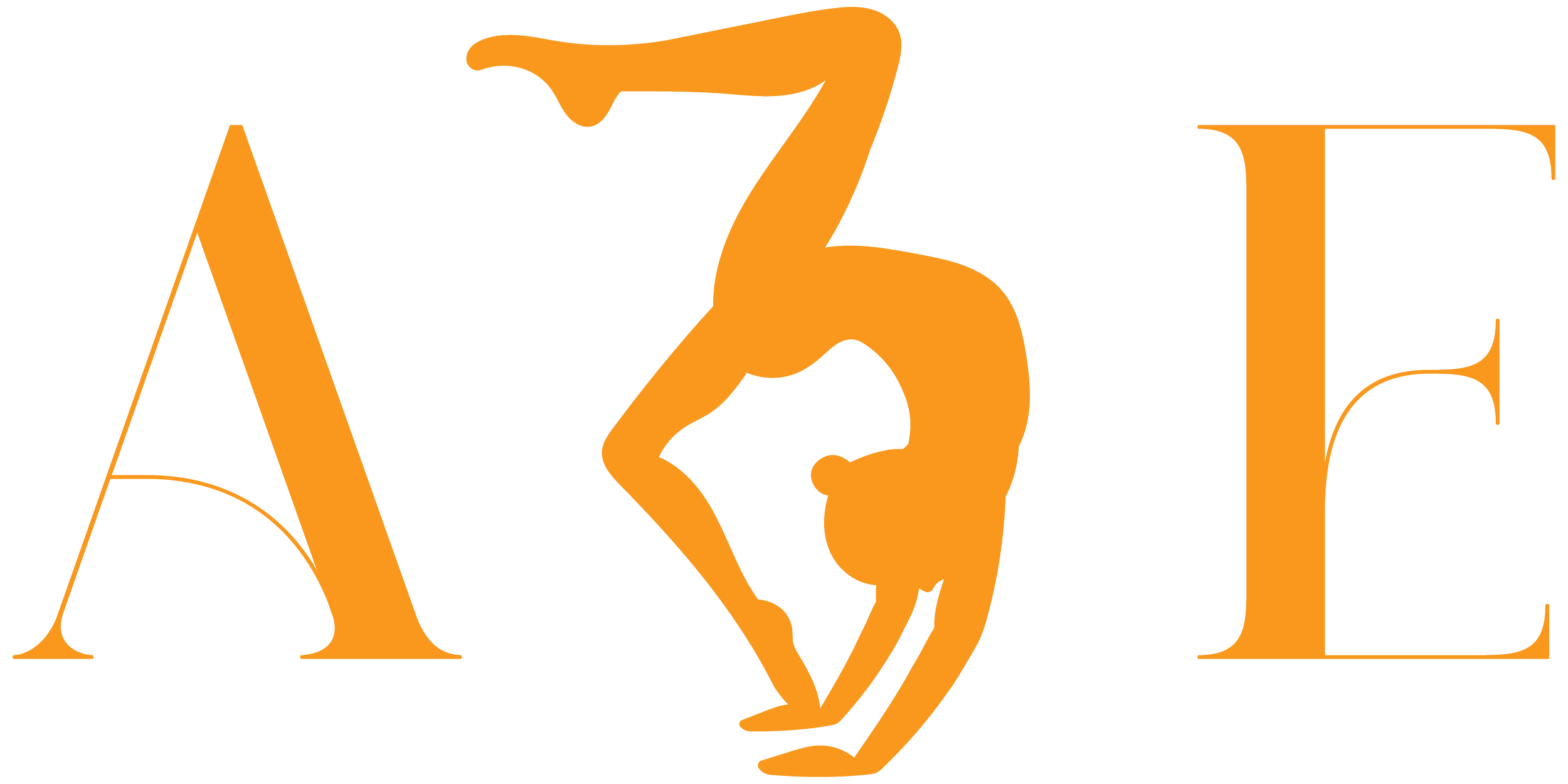 Bookings — Acro Excellence