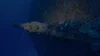 Hull Cleaning at Sea — Fleet Robotics