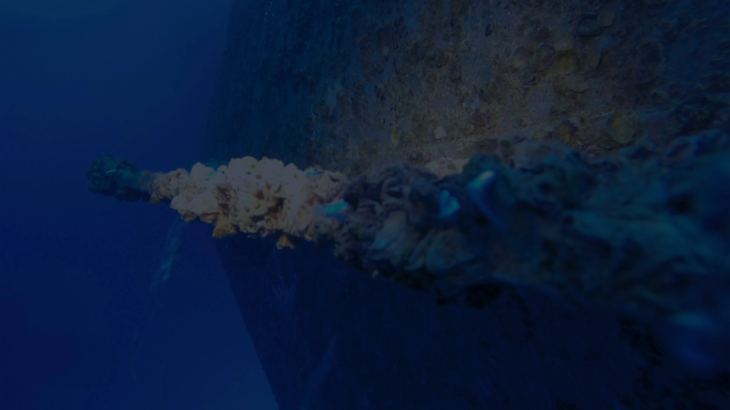Hull Cleaning at Sea — Fleet Robotics