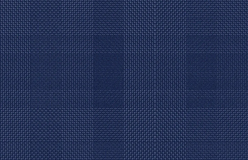 MCG Capital Advisory