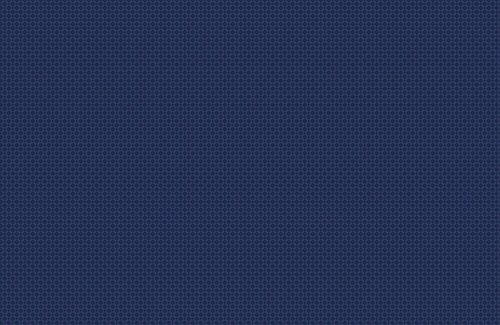 MCG Capital Advisory