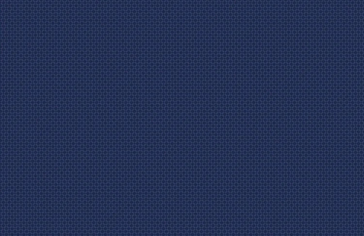 MCG Capital Advisory