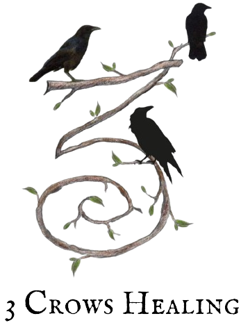 3 Crows Healing | Shamanic Practitioner and Teacher in Maine