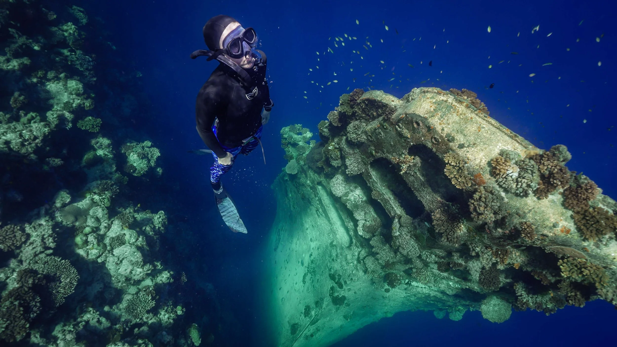 Freediving at Uepi – 5 things you’ll love about our 2026 Freediving ...