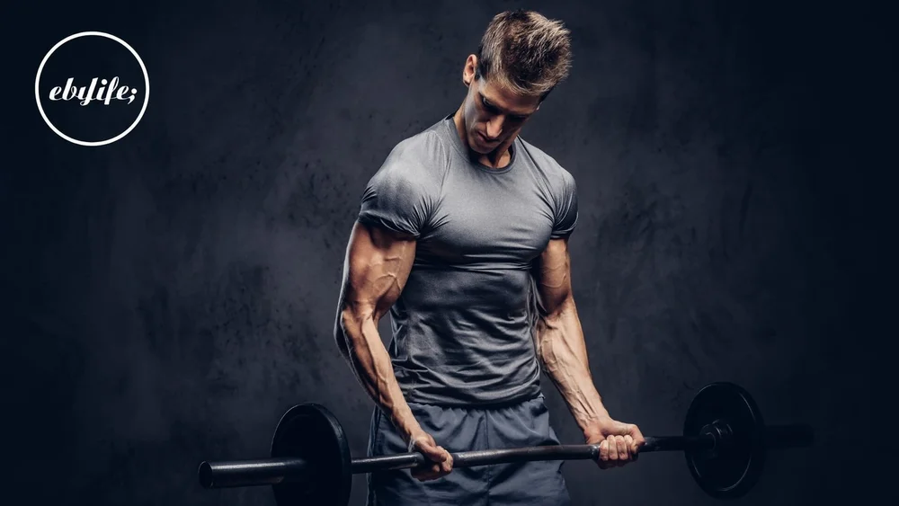 The Hardgainer’s Guide To Building Muscle: Diet and Exercise | Ebylife