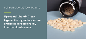 Ultimate Guide to Vitamin C | Ebylife