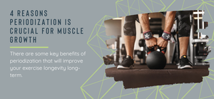 4 Reasons Periodization is Crucial for Muscle Growth | Ebylife