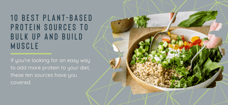 10 Best Plant-Based Protein Sources To Bulk Up and Build Muscle | Ebylife