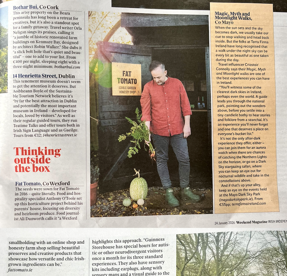 Fat Tomato | One of Ireland’s Most Innovative Places to Visit 2026 ...