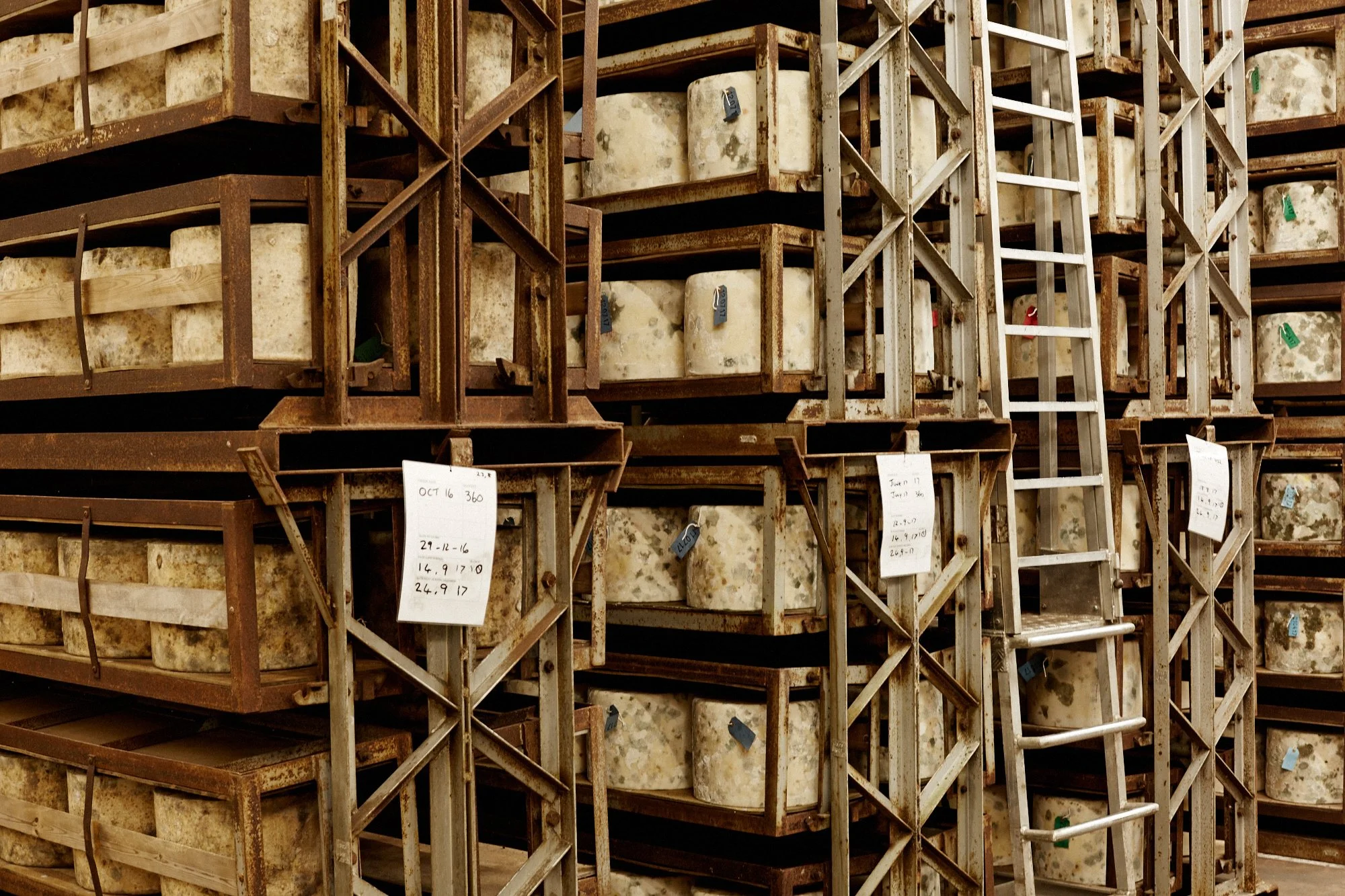 The Real Cheese Project