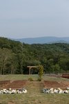 REITANO VINEYARDS