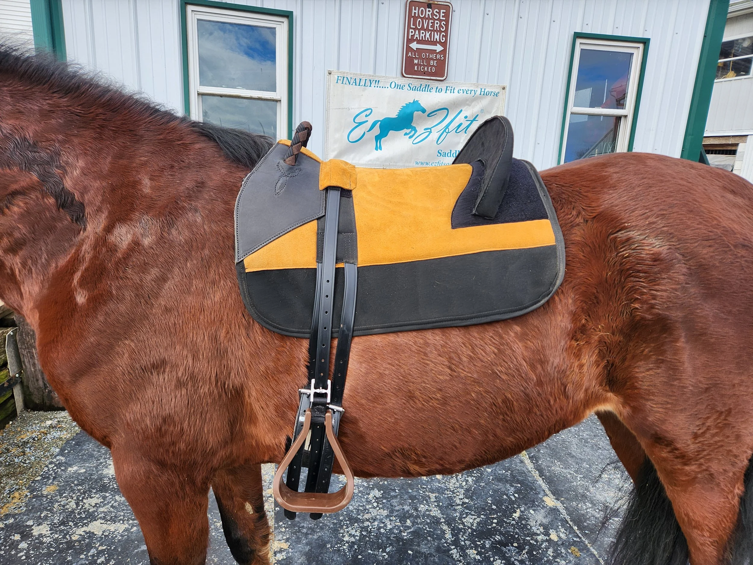Specialty Saddles — EZ Fit Treeless Saddles