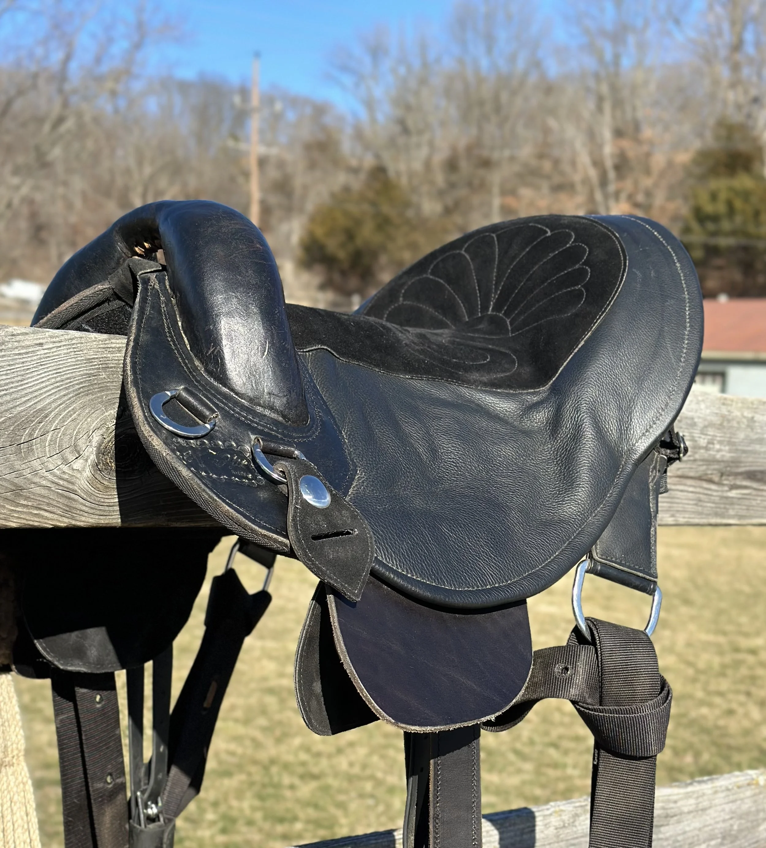 Specialty Saddles — EZ Fit Treeless Saddles