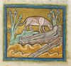 Hyena, Rochester Bestiary, c.1230 — Kent History & Archaeology