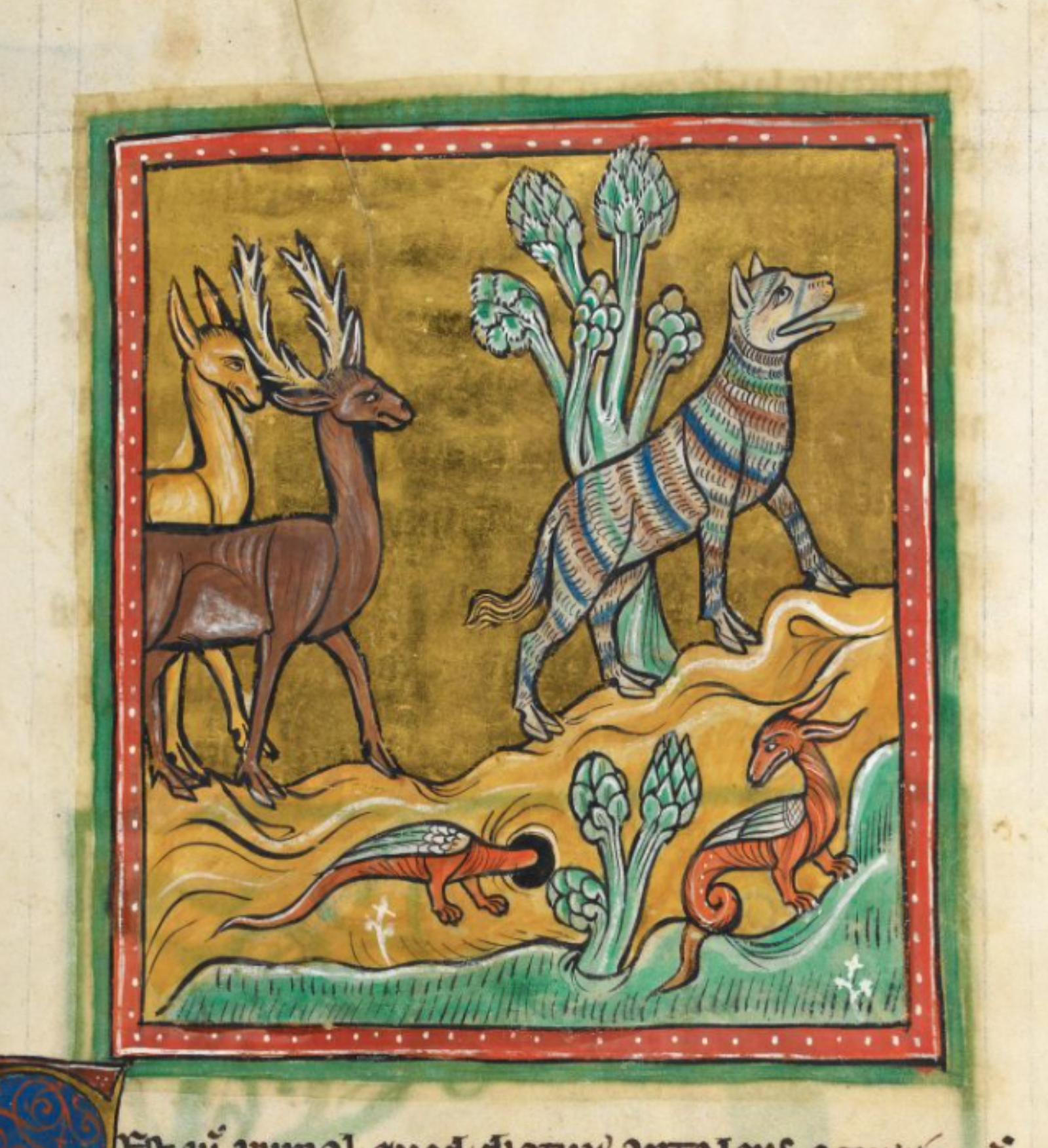 Panther, Rochester Bestiary, c.1230 — Kent History & Archaeology