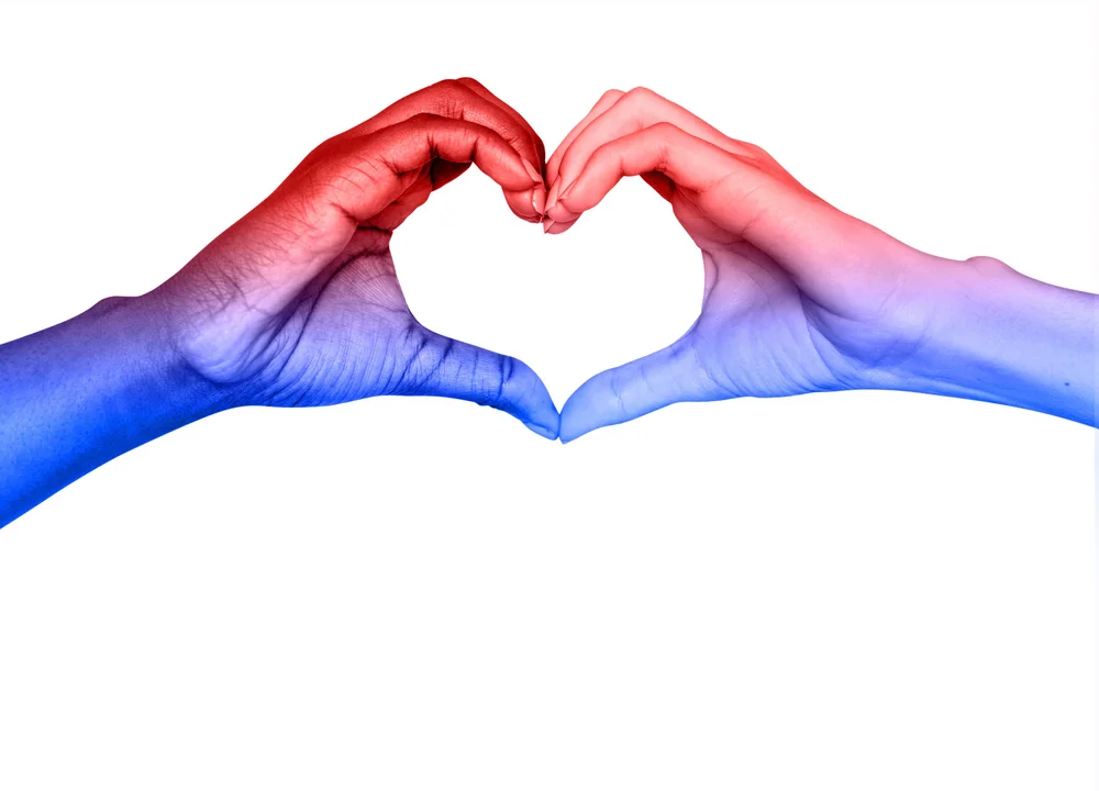 Expertise — Corporate Dimensions LTD