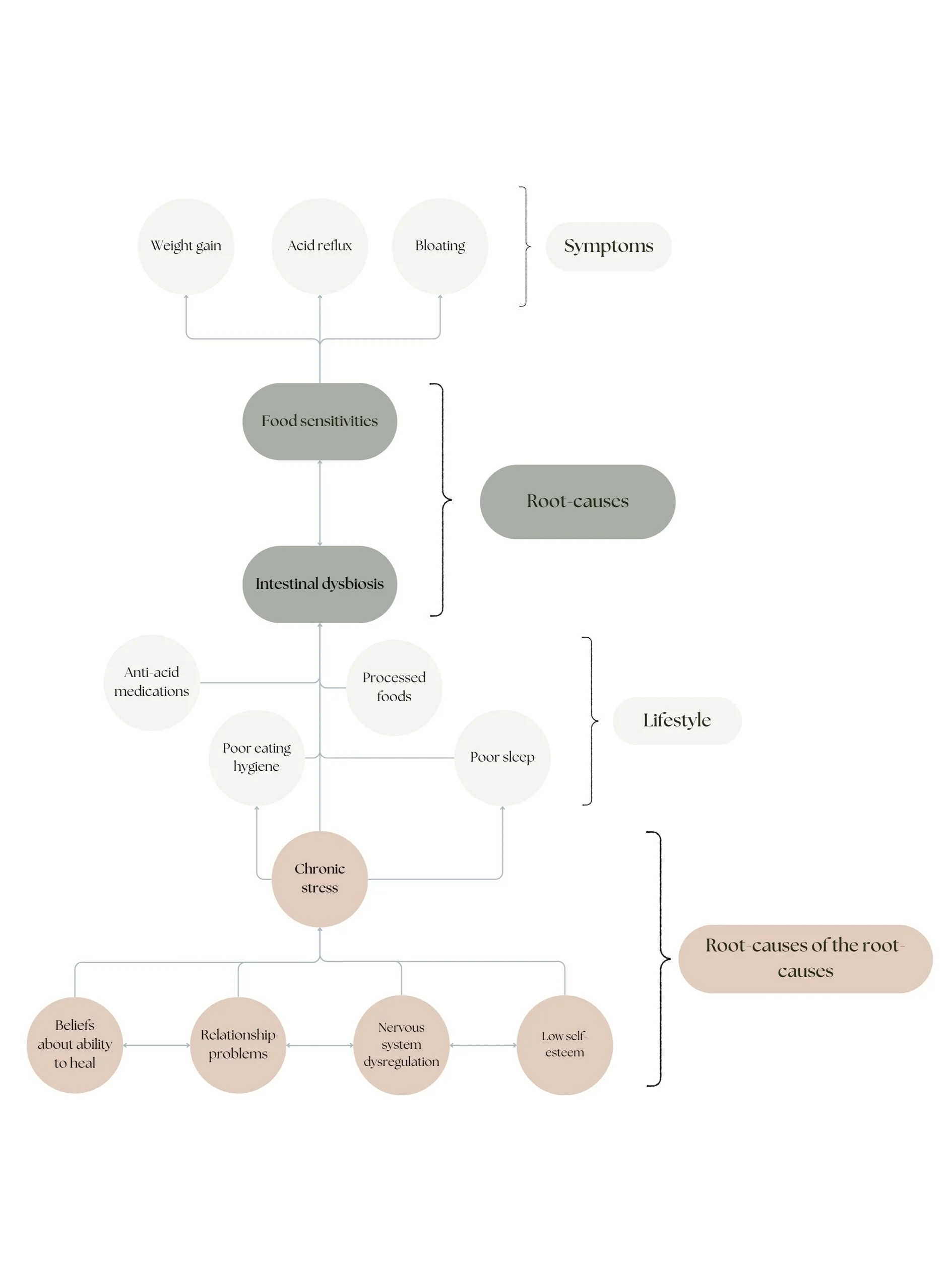 Root-cause Map — Align with Alexa - Functional Medicine | Wisconsin ...