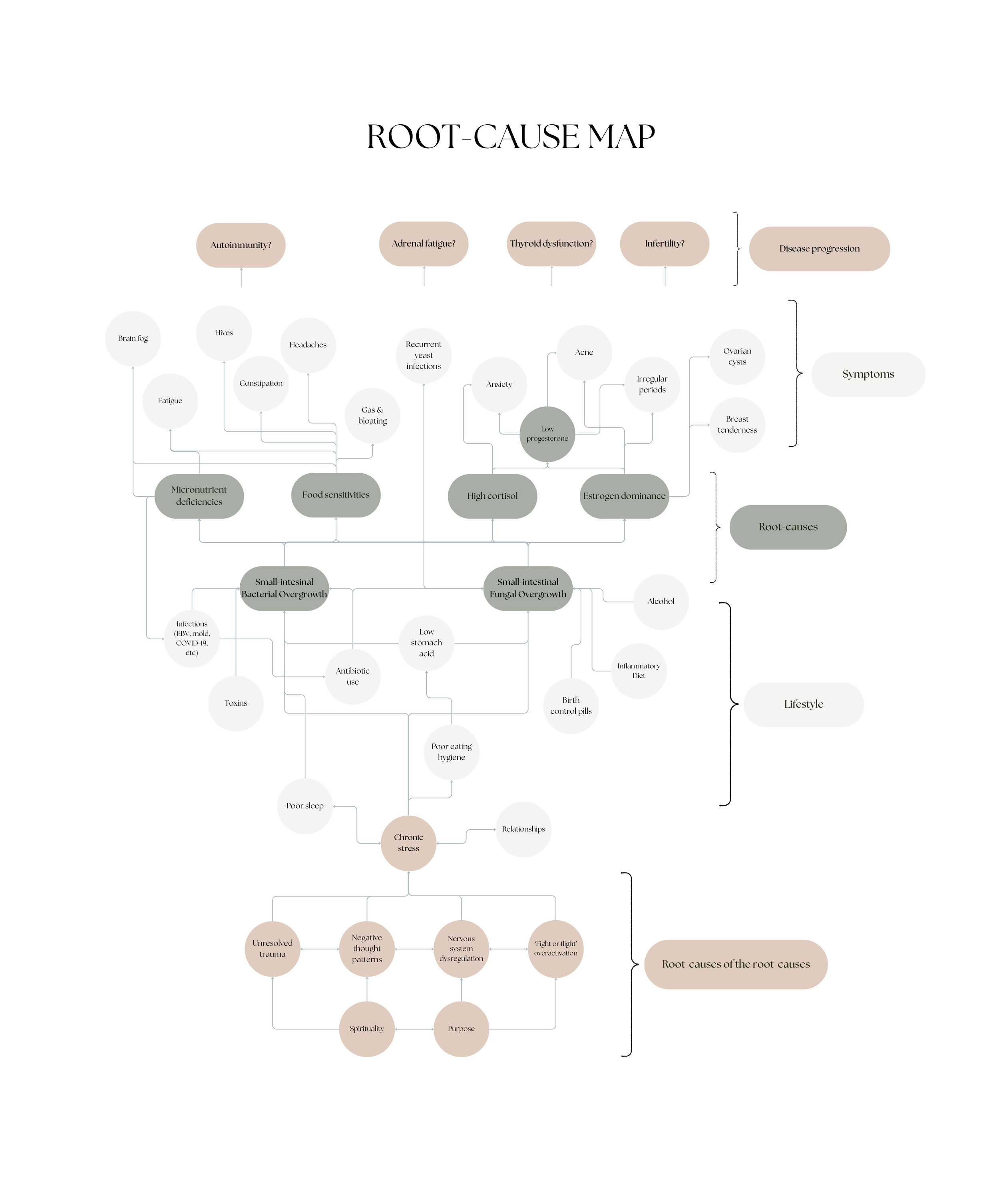 Root-cause Map — Align with Alexa - Functional Medicine | Wisconsin ...