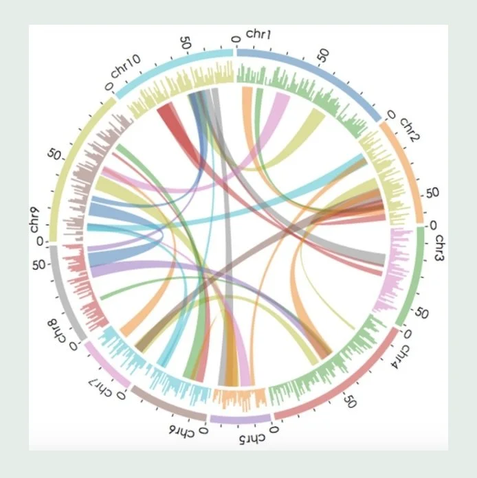 Abour Dr Michael Castro - Leading Oncologist — Personalized Cancer Care ...