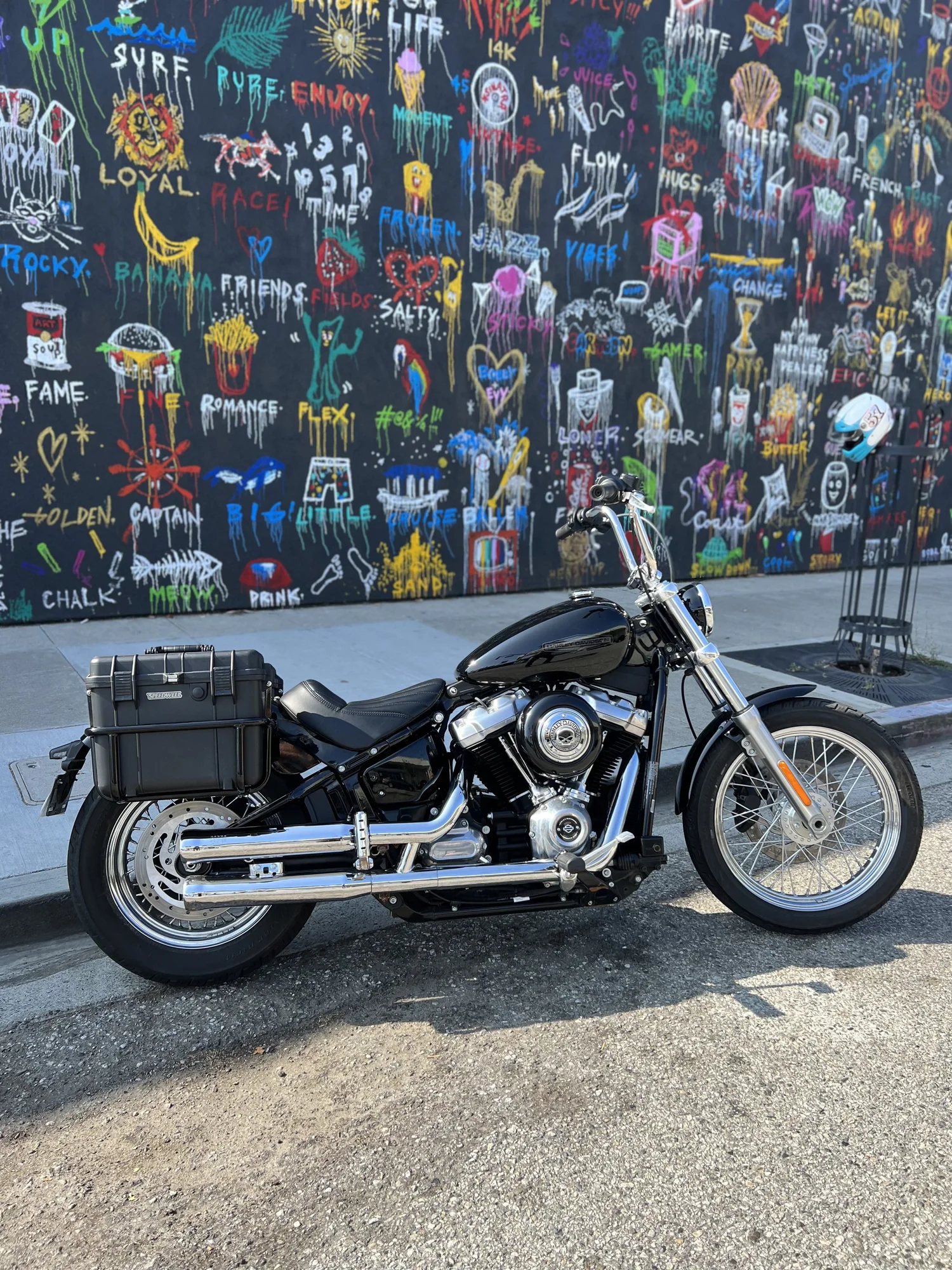 Speedwell Supply - Motorcycle Saddlebags & Bear Grips