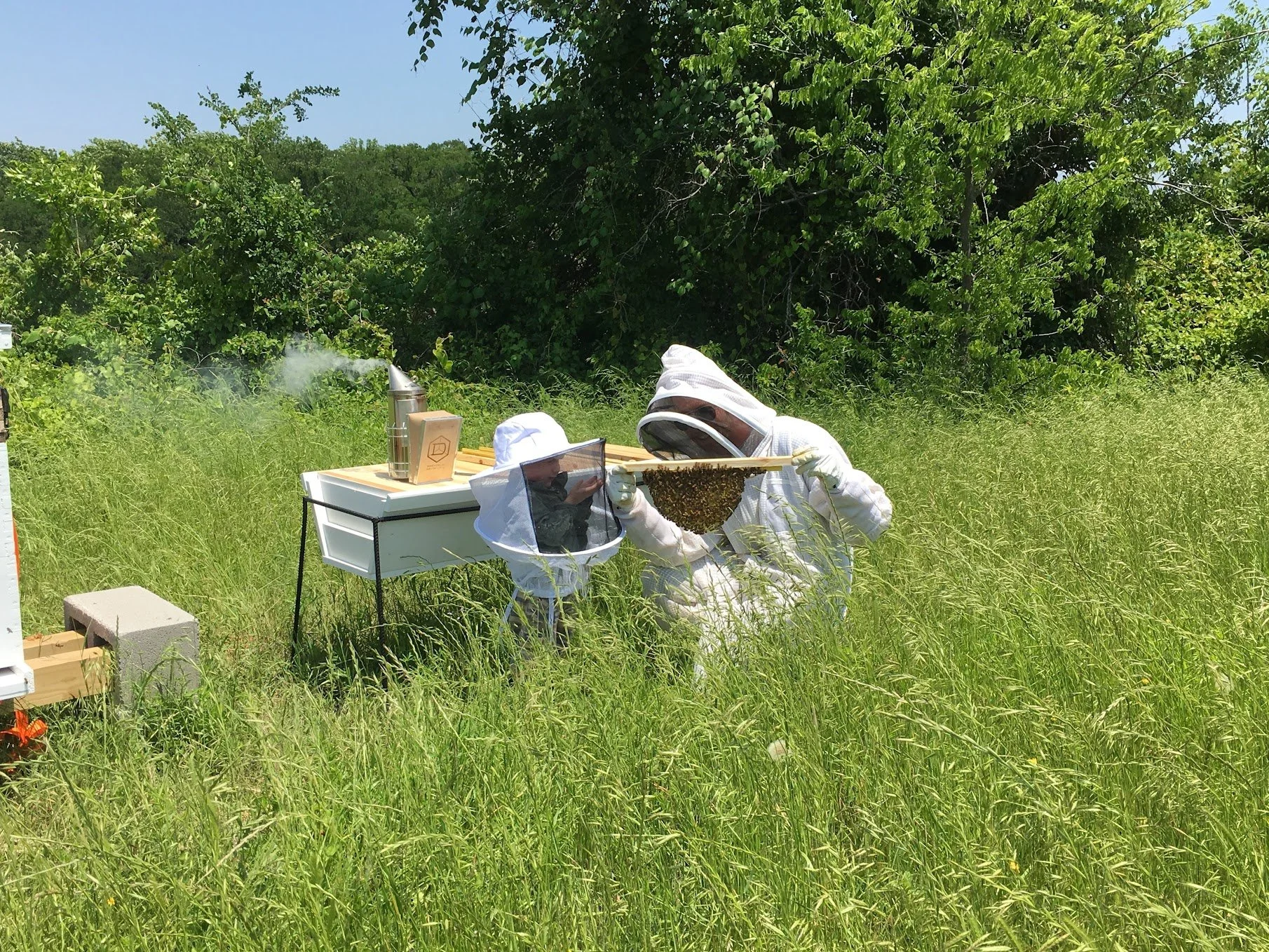 Mars Hill Farm | Regenerative Farming | Produce, Flowers, Meats & More ...