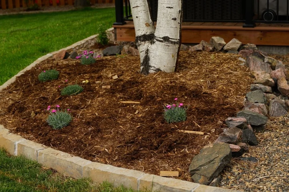What Are the Kinds of Mulch? — Highlands Landsdcaping