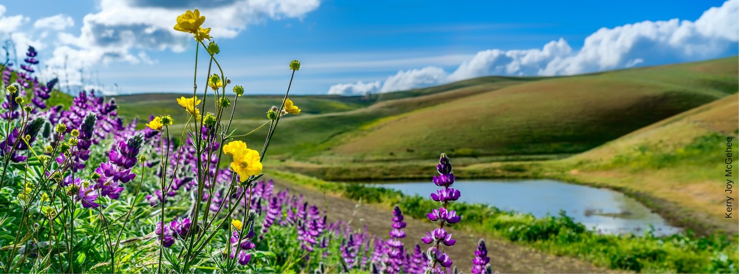 Open Space — Tri-Valley Conservancy