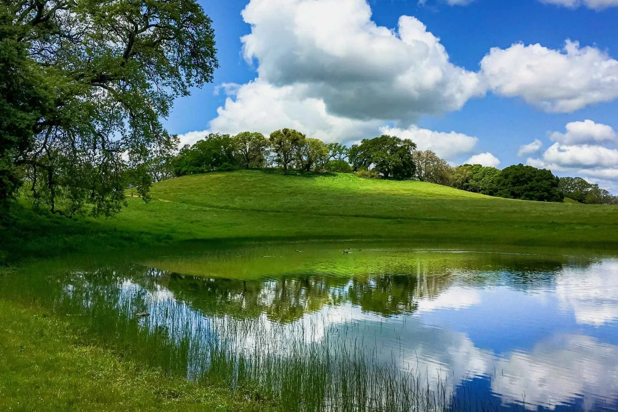 Tri-Valley Conservancy