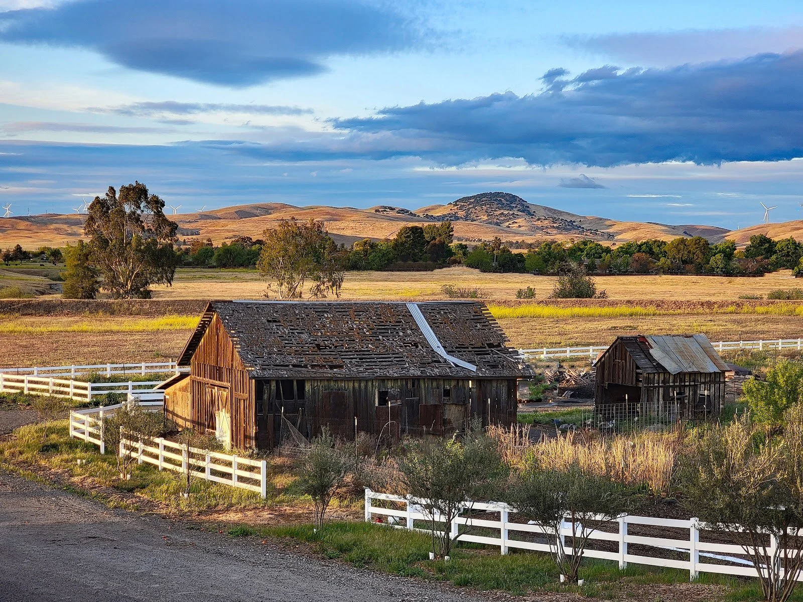 Winners Announced for 2025 Views in the Valley Photo Competition — Tri ...