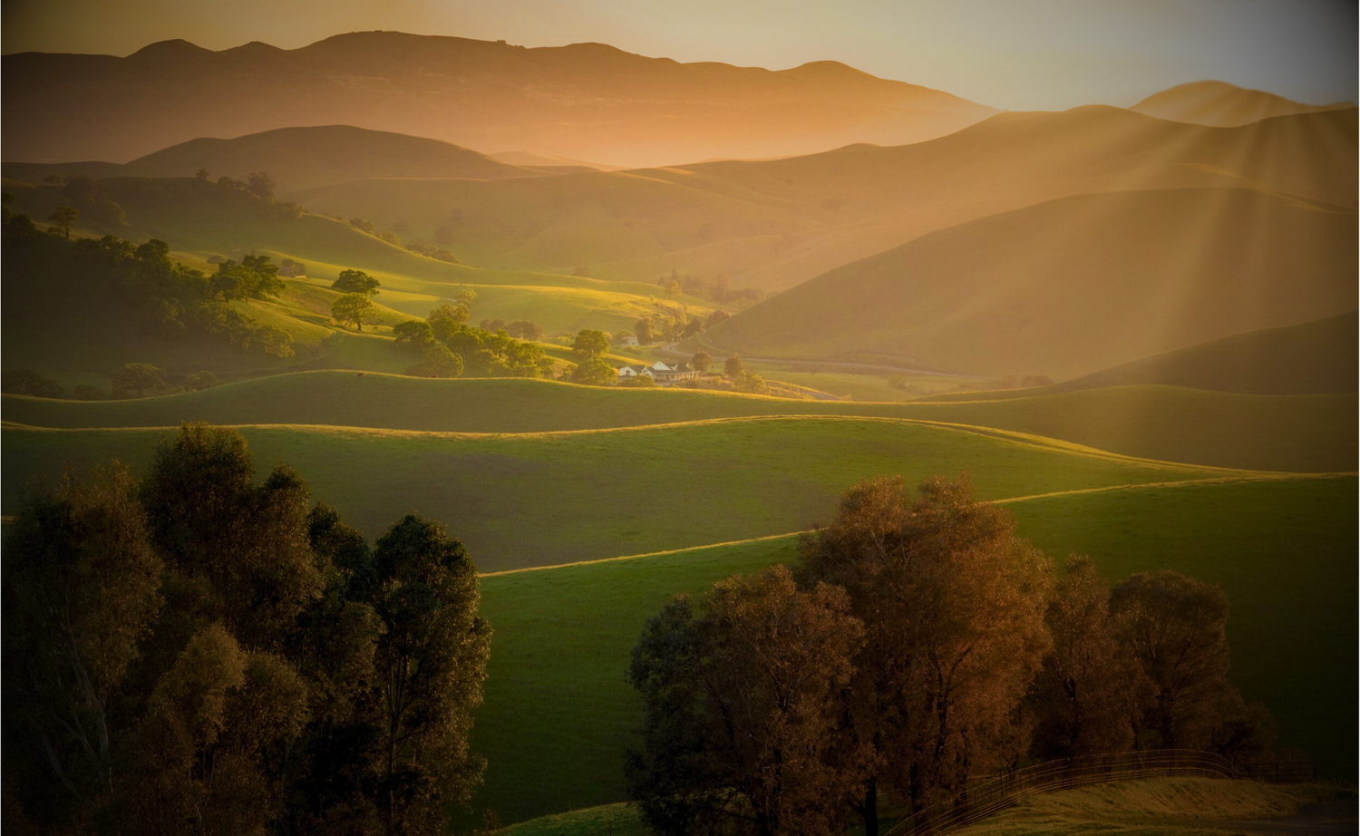 Tri-Valley Conservancy