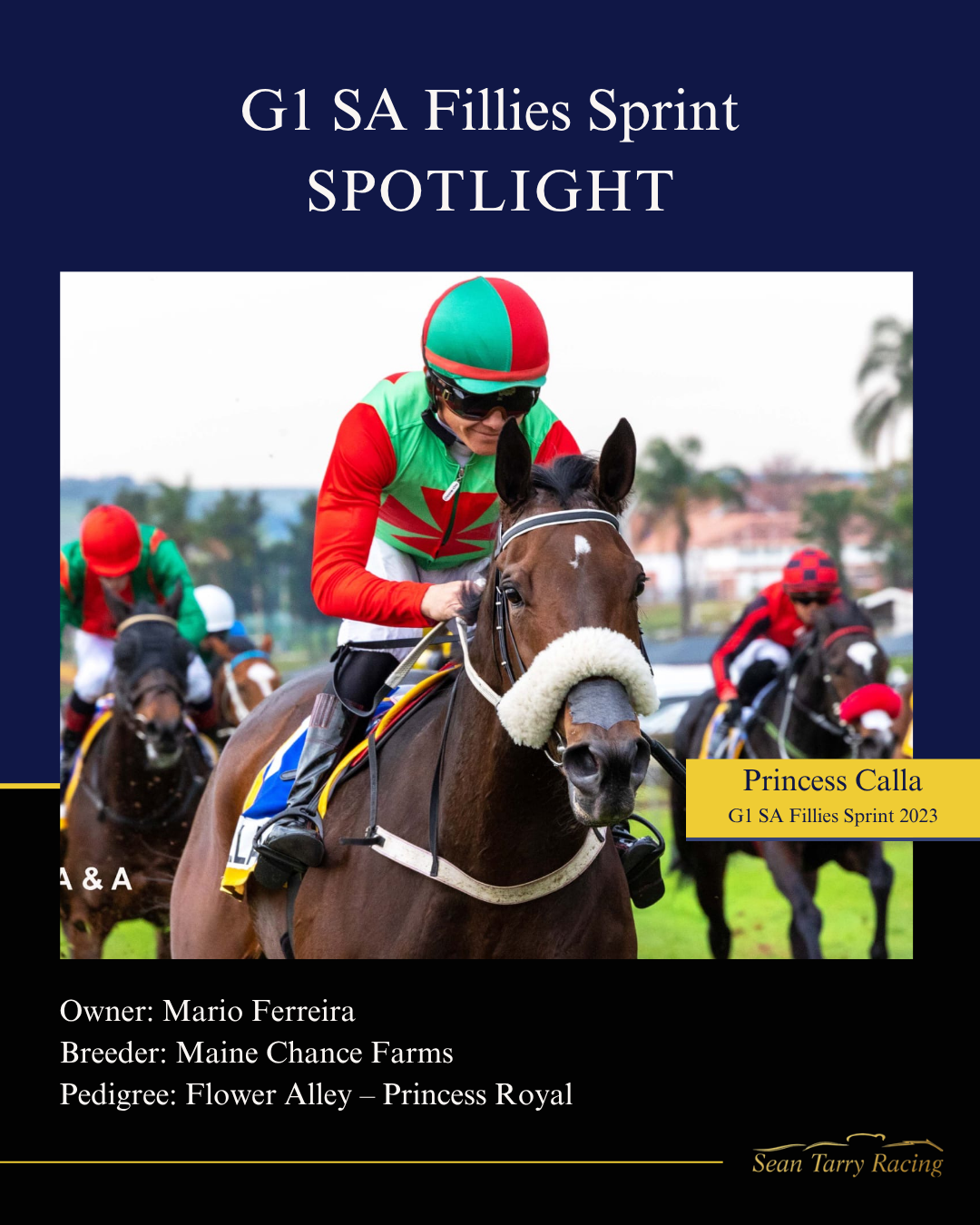 Previous Winners Of The G1 SA Fillies Sprint — Sean Tarry Racing