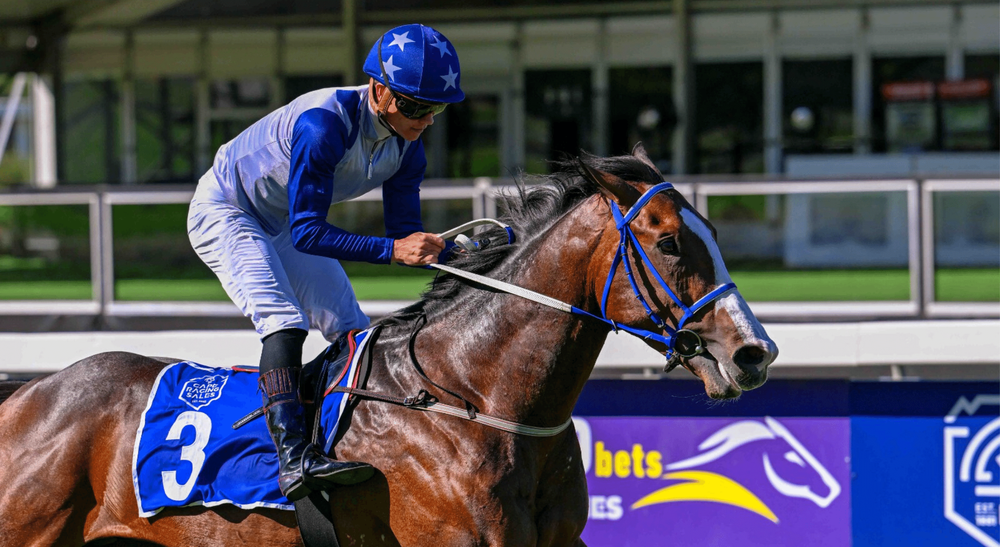 Sean Tarry Racing - Home