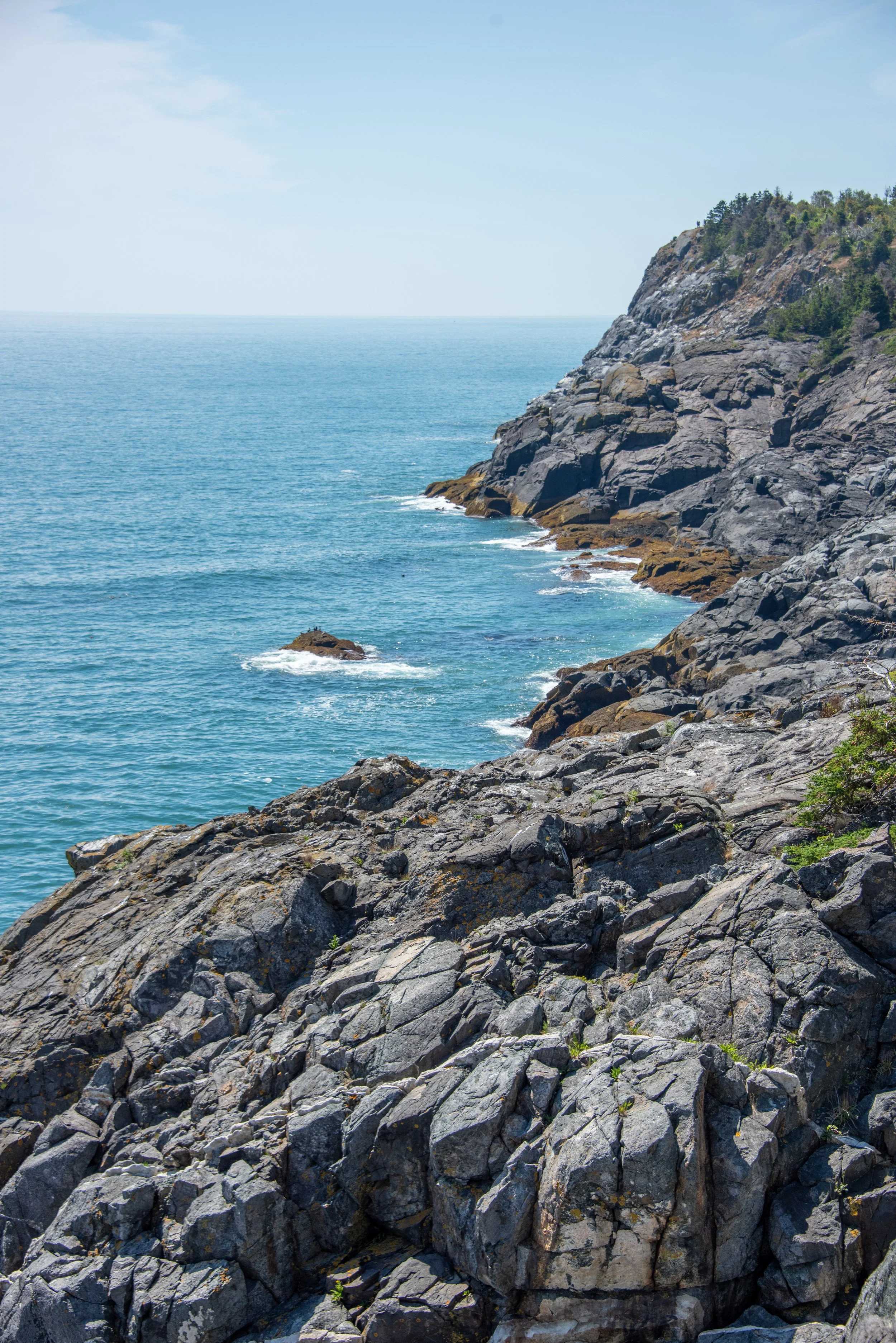 Exploring Monhegan Island: 3 Must-Hike Trails for Every Nature Lover ...