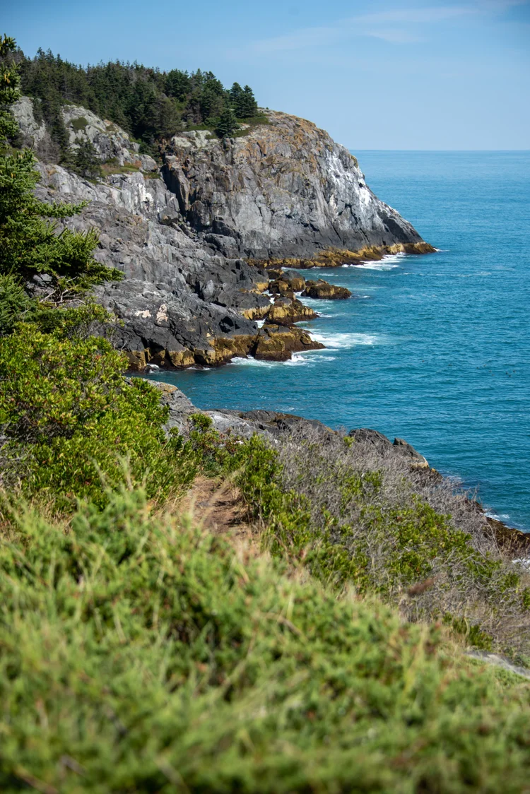 Exploring Monhegan Island: 3 Must-Hike Trails for Every Nature Lover ...