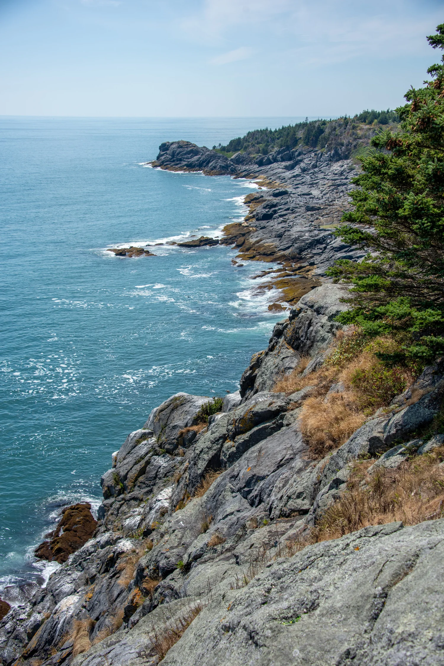 Exploring Monhegan Island: 3 Must-Hike Trails for Every Nature Lover ...