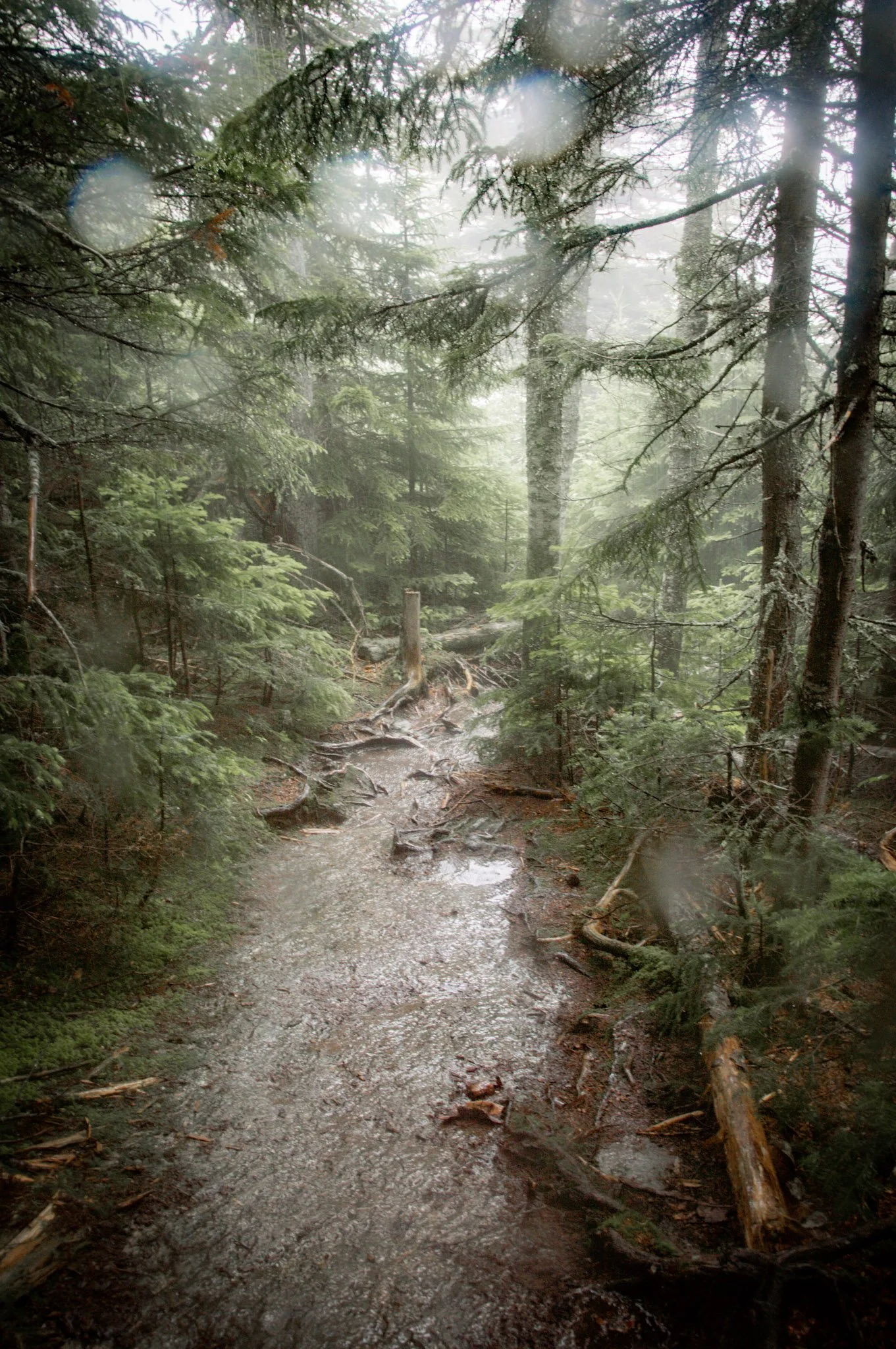 Your Ultimate Guide to Backpacking Maine’s Bigelow Traverse — MAINE HIKES