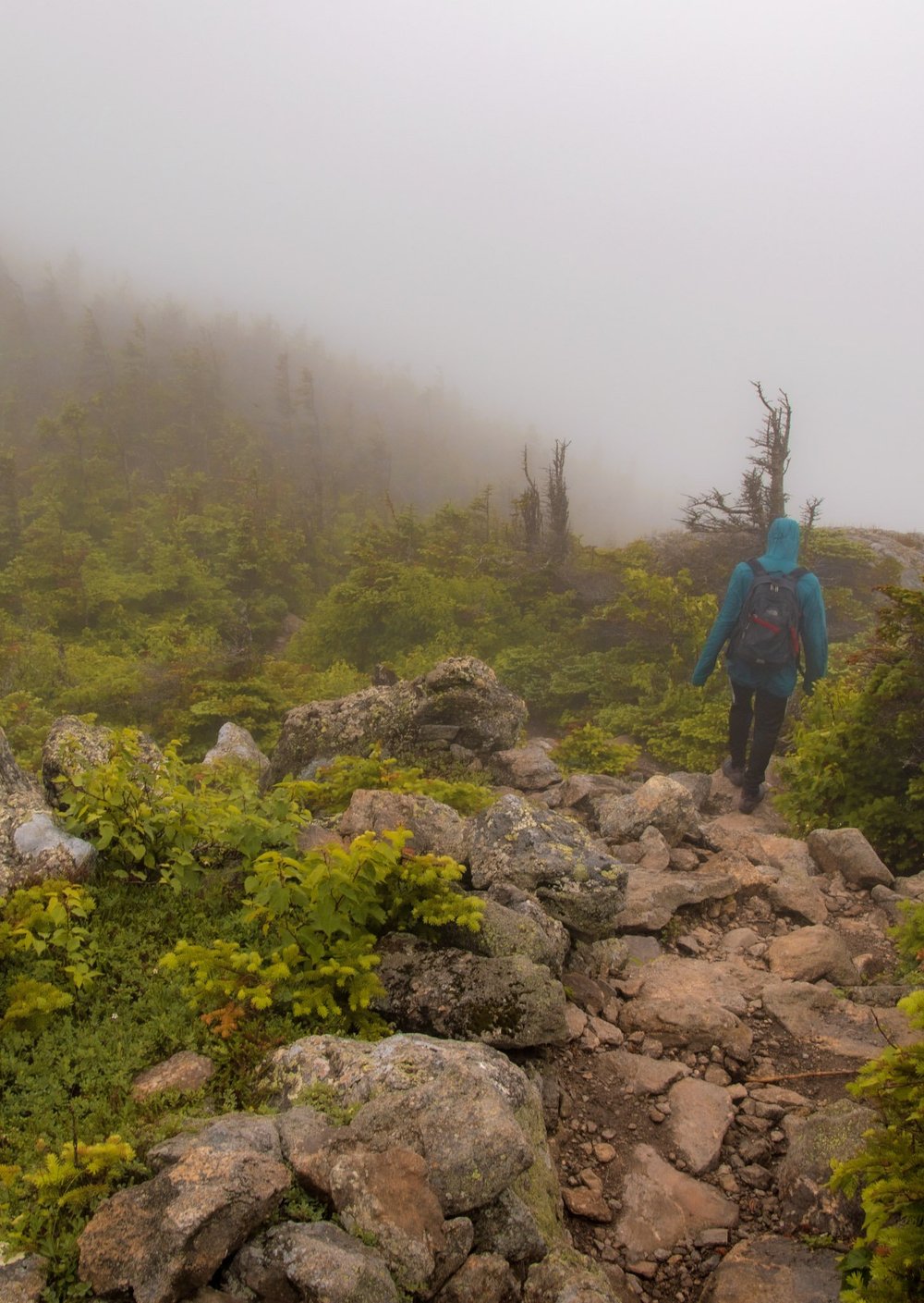 Your Ultimate Guide to Backpacking Maine’s Bigelow Traverse — MAINE HIKES