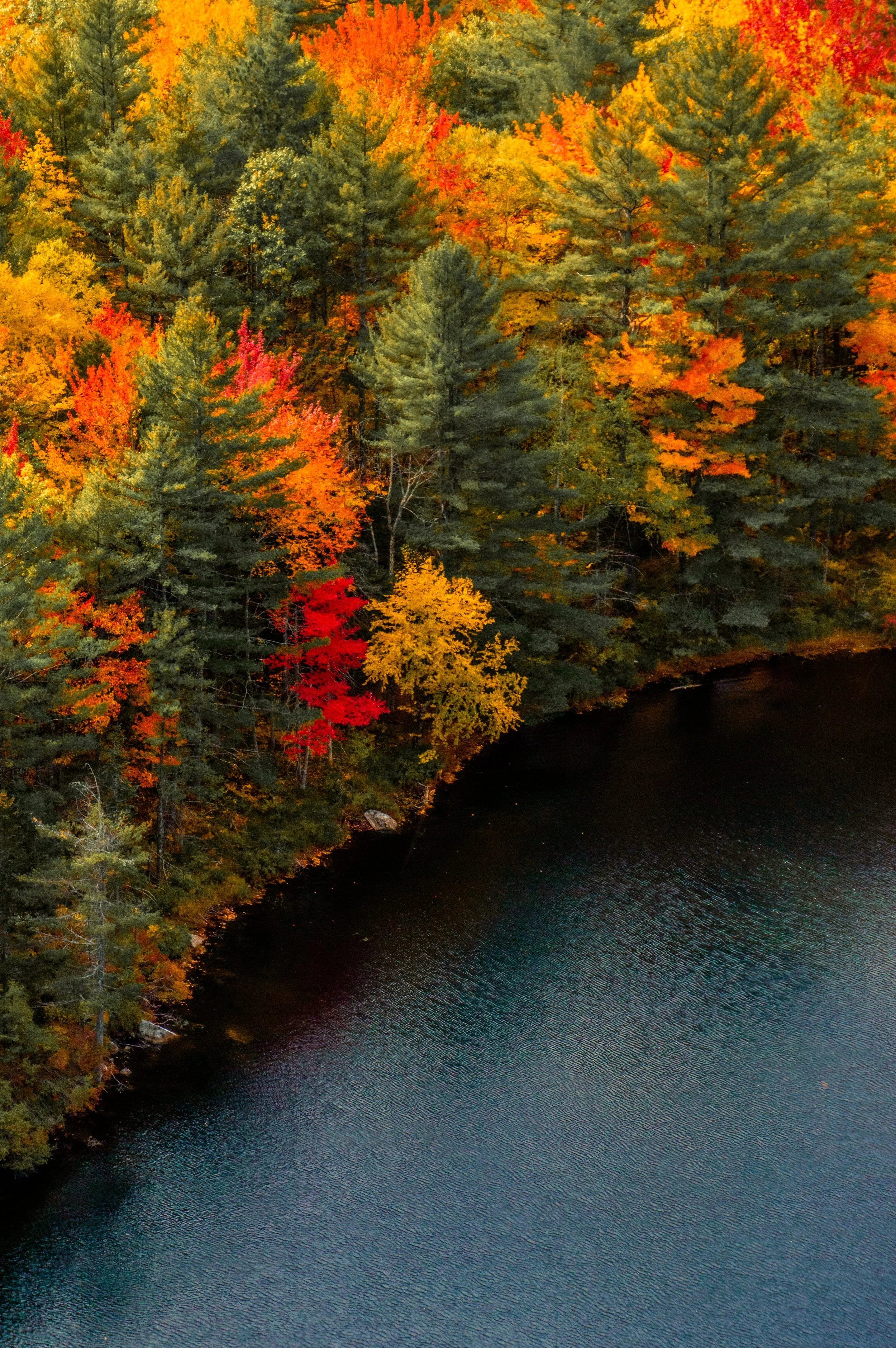 6 Fall Foliage Hikes in Maine Worth the Effort — MAINE HIKES