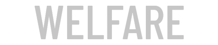 Welfare Van | New | Welfare Van Hire | For Sale — Overlander Vehicles