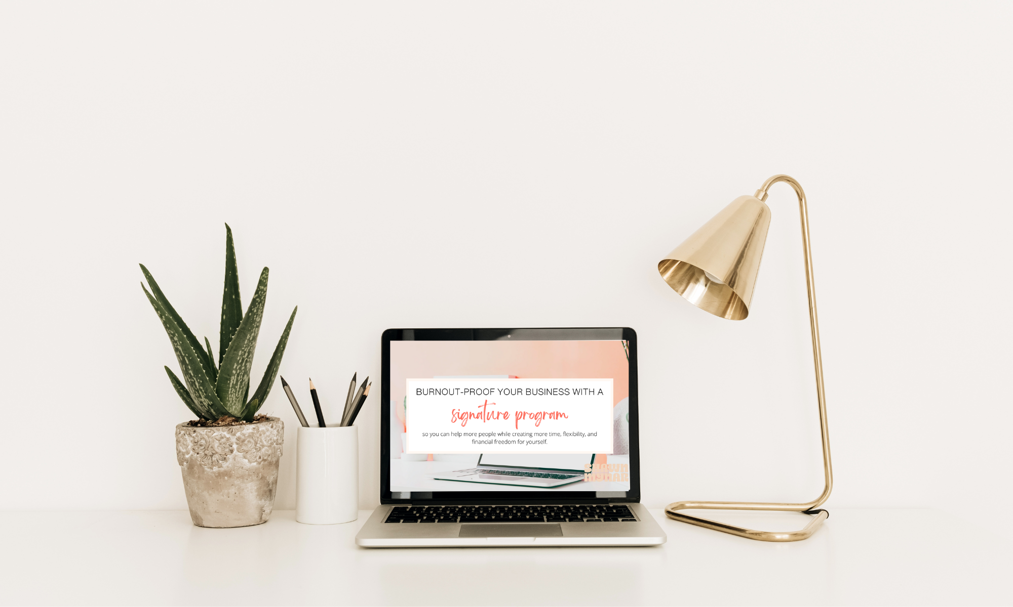 4 Key Differences Between An Online Course And A Signature Program — Shawn Mynar - Business ...