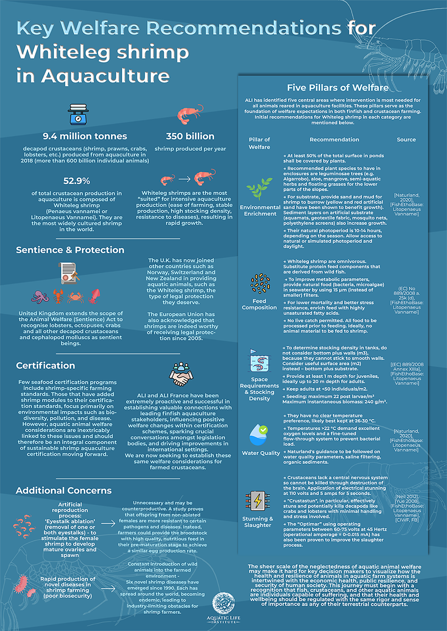 Key Welfare Recommendations for Whiteleg Shrimp in Aquaculture ...