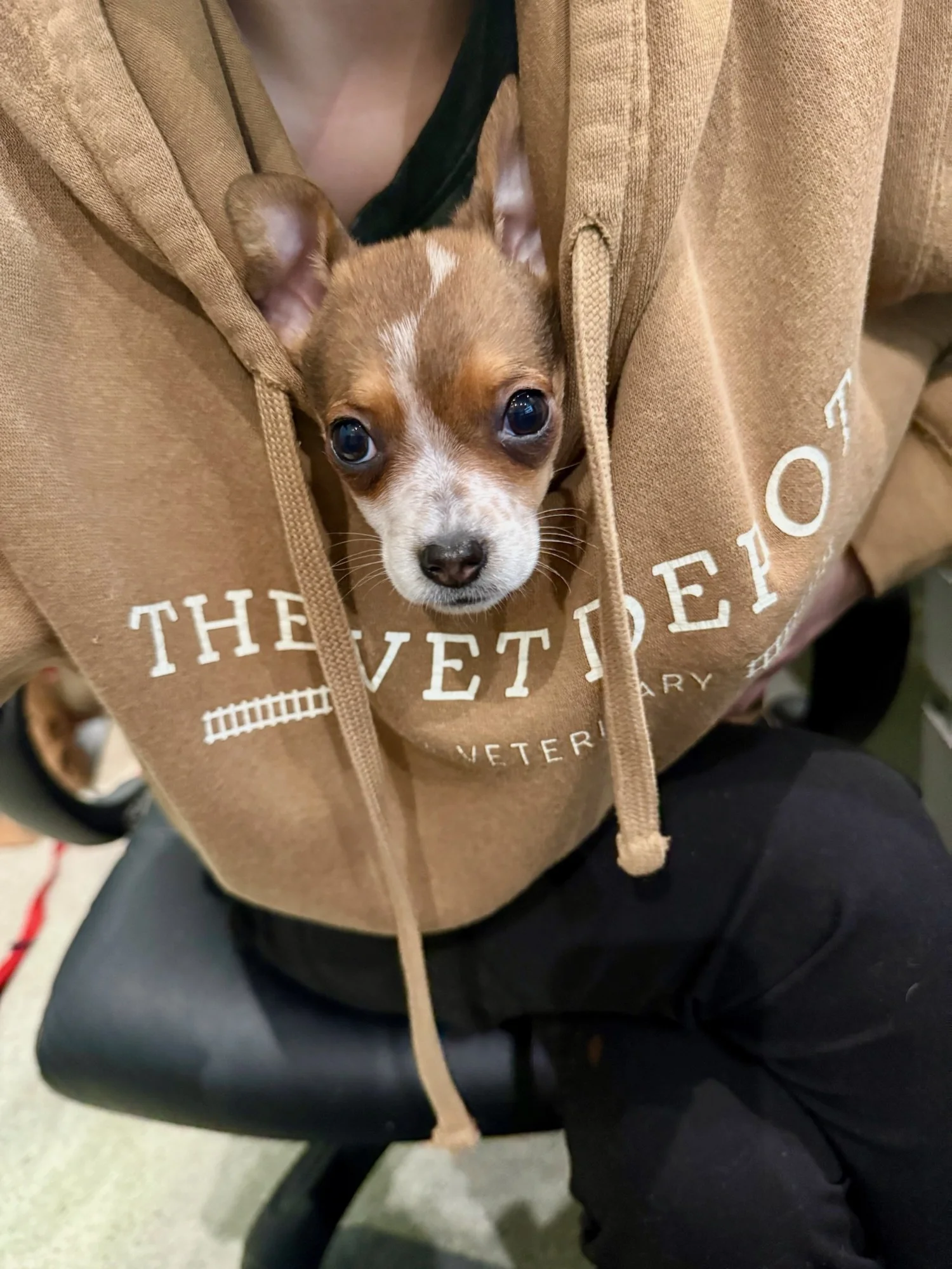 The Vet Depot