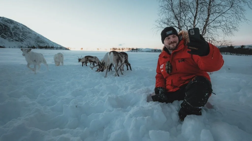 Sami Reindeer Experience in Winter and Spring — Lofoten Insight