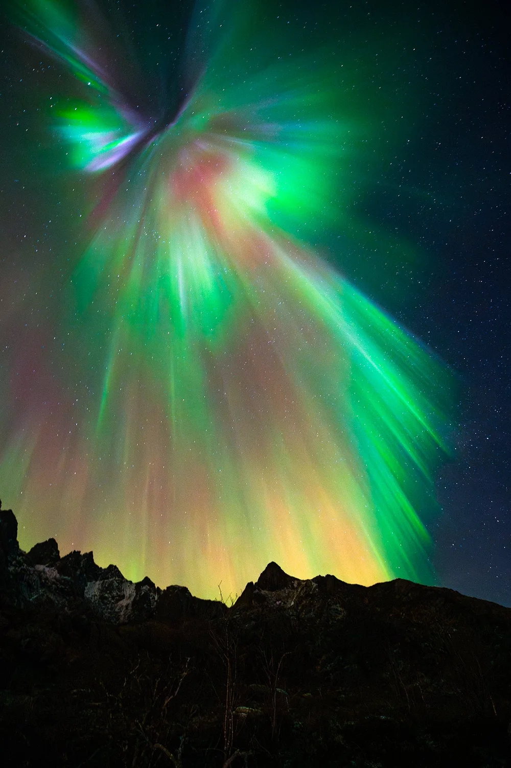Ultimate Aurora Hunt - Northern Lights in Lofoten — Lofoten Insight
