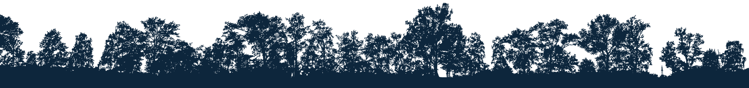 Camping in Rib Lake — Rib Lake Wisconsin